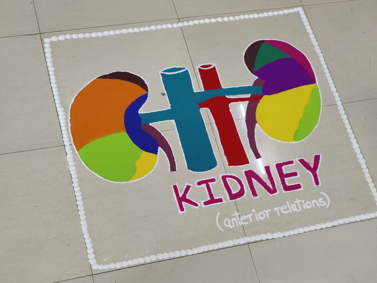 Department of AnatomyReport of World Anatomy Day 2022(Rangoli ...